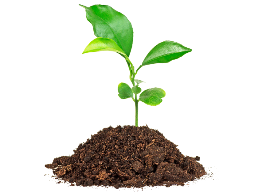 Jordguide: vilken jord till vad | Lidl.se