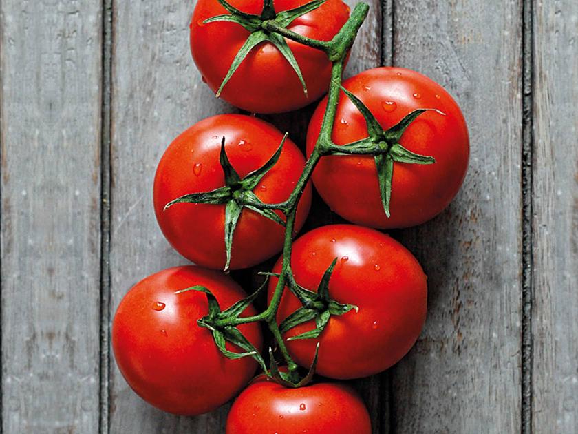 Åk på smakresa denna hemester med Destination Lidl | Lidl.se